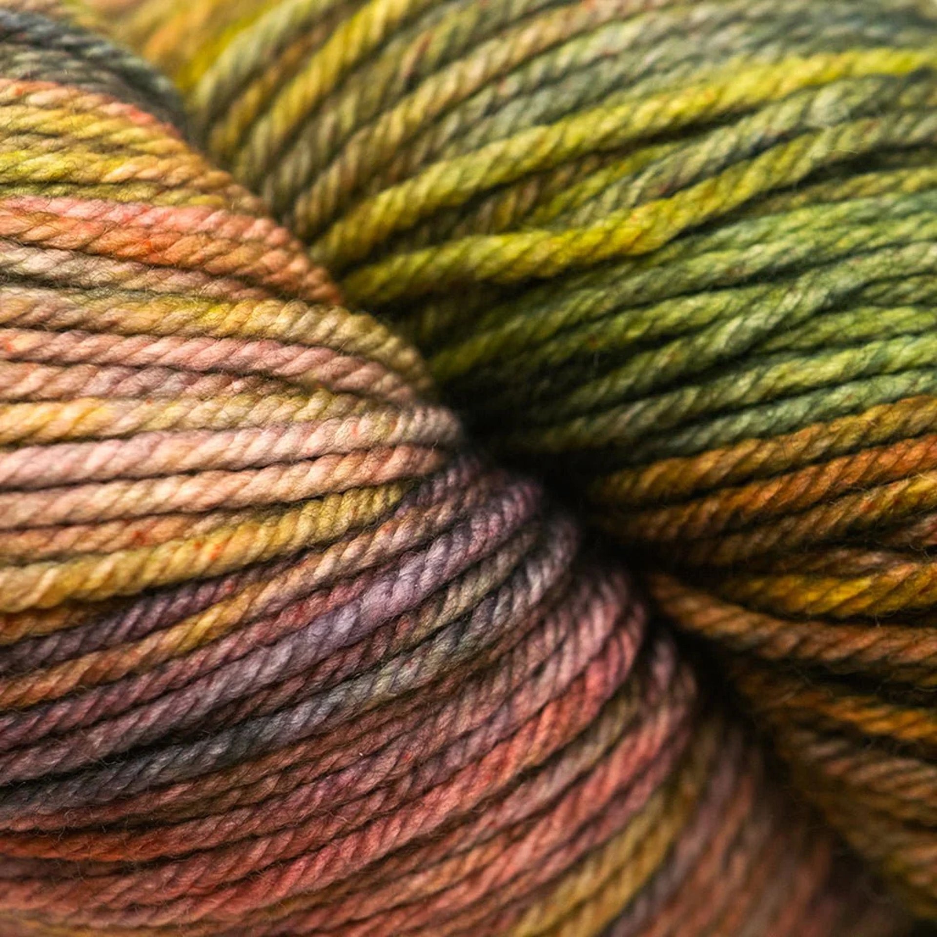 Malabrigo Rios Worsted Weight Yarn — Revolution Fibers